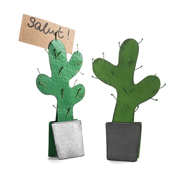Pinza Cactus | Farmaci e Salute - Dott.ssa Chiara Furlan